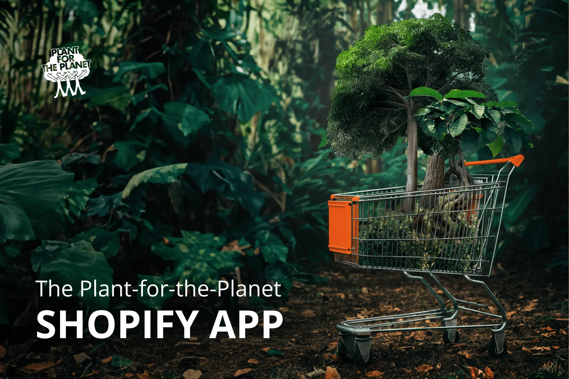 Plant Trees with Every Sale | Plant-for-the-Planet Shopify App | Plant ...